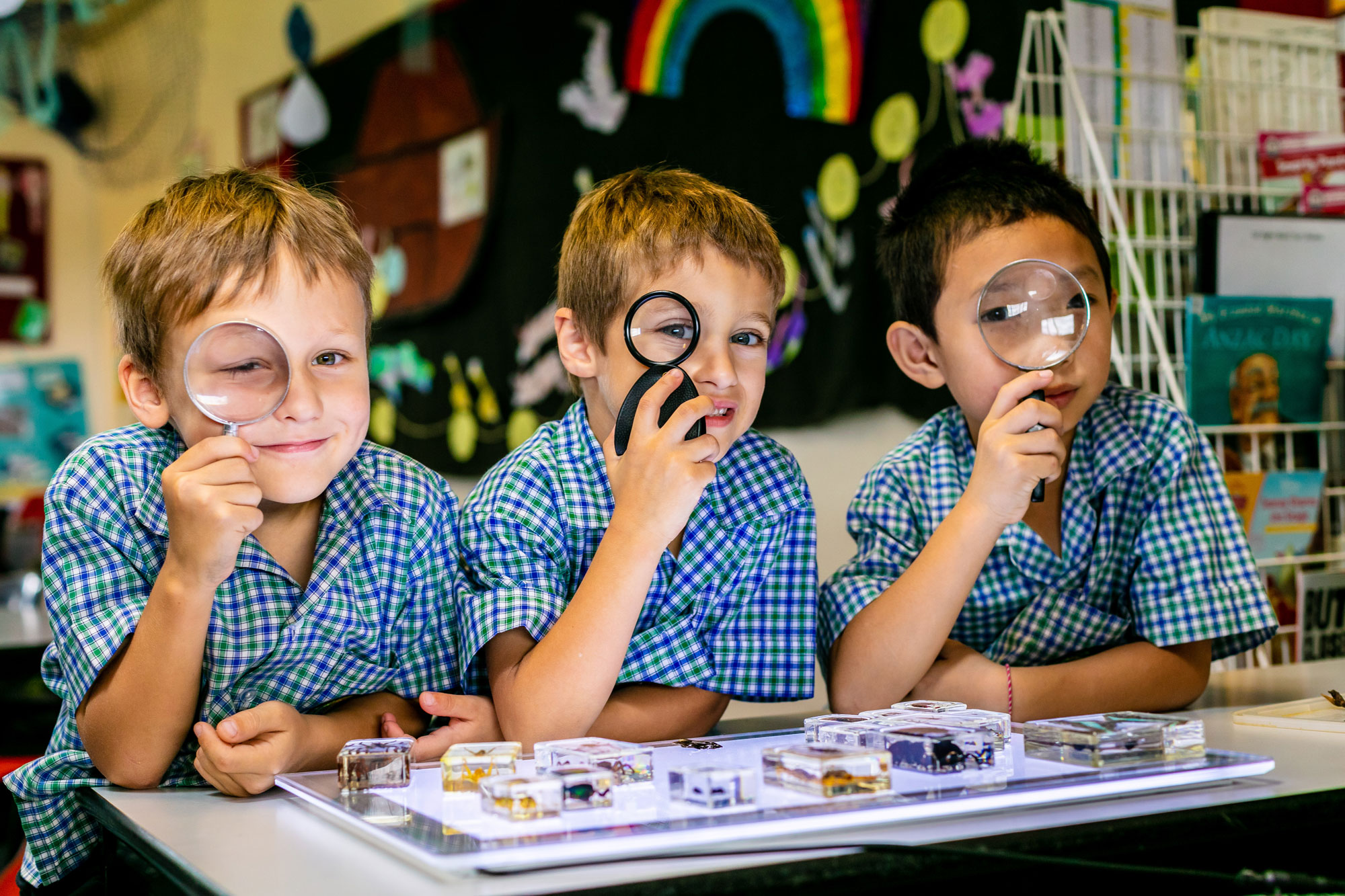 Home | Good Counsel Primary School, Innisfail